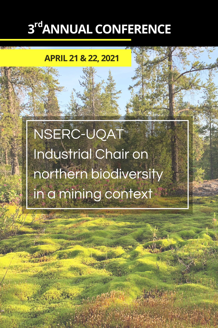 Annual conference of the NSERC – UQAT Industrial Chair on northern ...