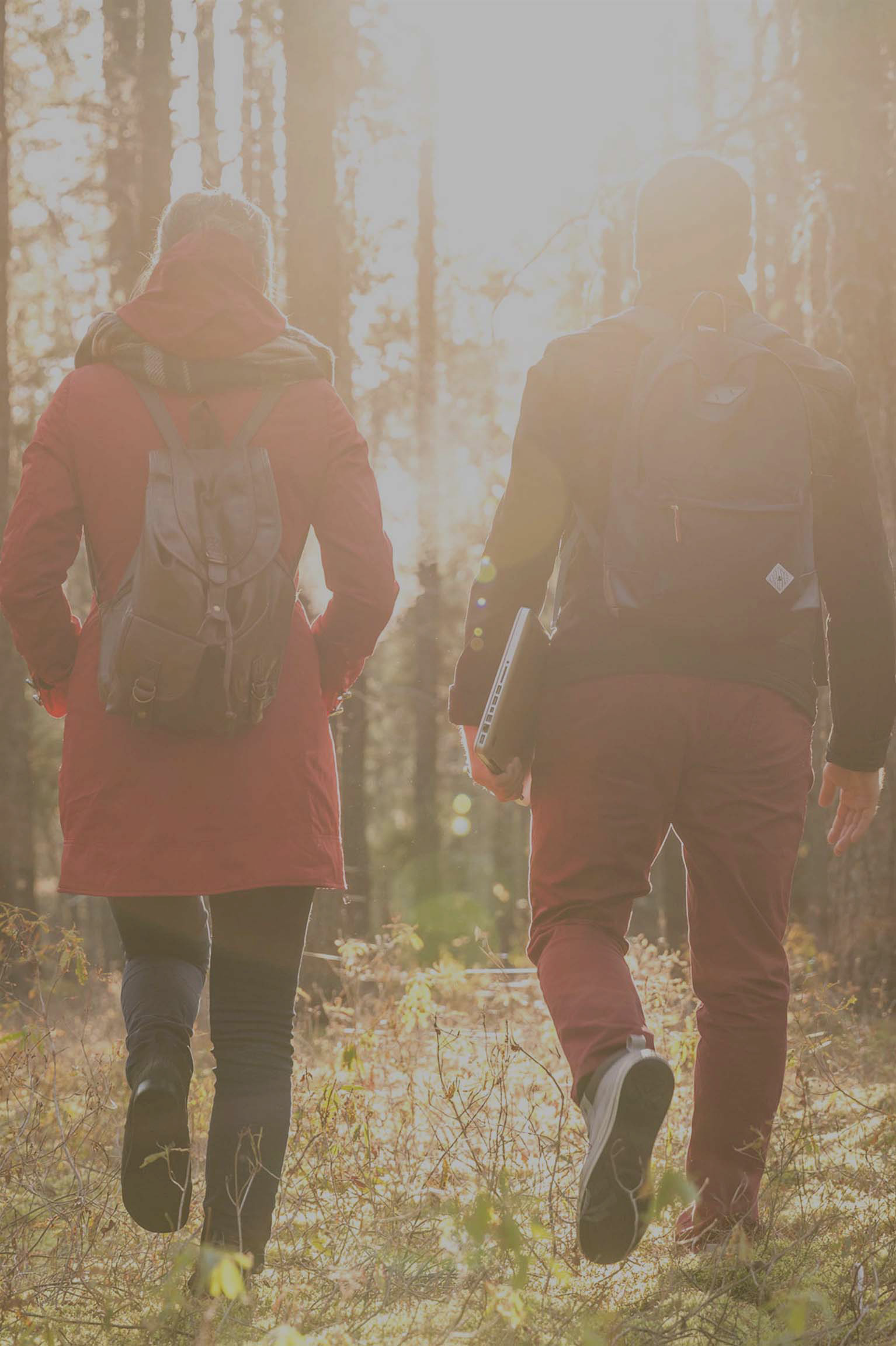 Université du Québec en Abitibi-Témiscamingue | UQAT